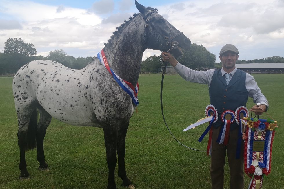 Breed Show/Spotfest | British Spotted Pony Society